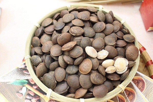 Sachi Seeds - The King of Nuts - Miracle Uses You Need To Know