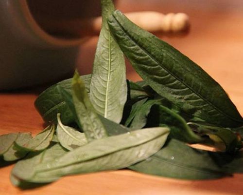 Rau răm sấy khô hàng loại 1 Dũng Hà tốt cho sức khỏe